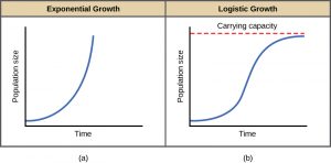 Population Growth and Regulation – Introductory Biology: Evolutionary ...