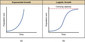 Population Growth and Regulation – Introductory Biology: Evolutionary ...