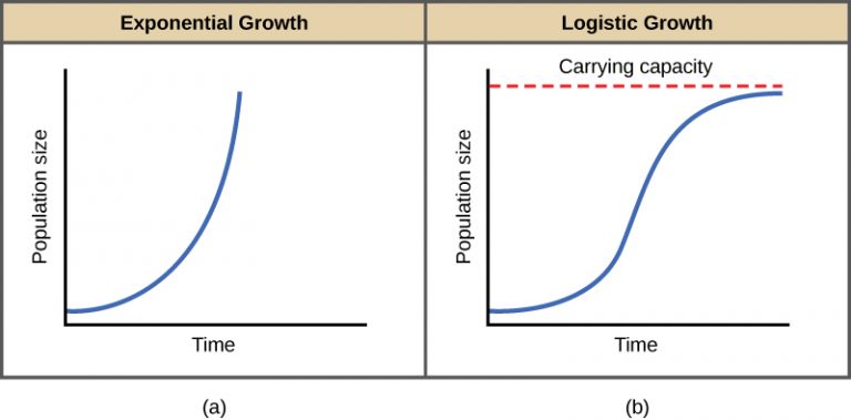 Population Growth and Regulation – Introductory Biology: Evolutionary ...