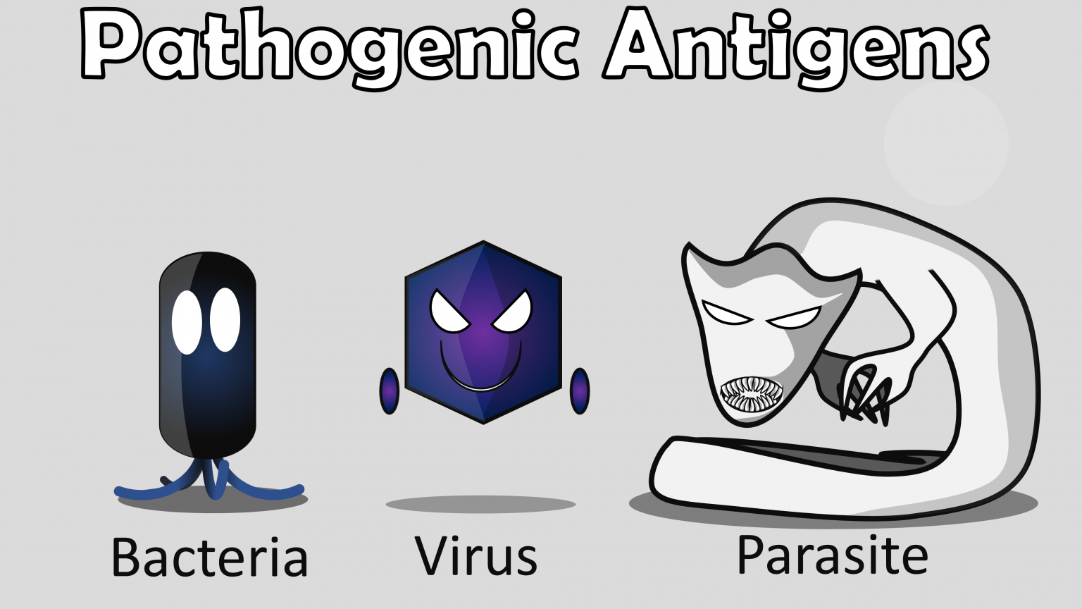 The Immune System: Fighting Infection – Classroom Partners